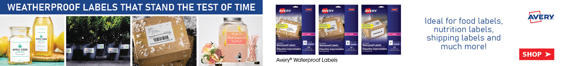 Welcome to MicroAge Basics